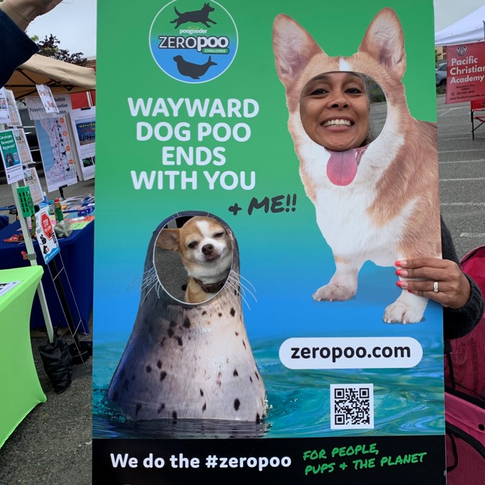 Something in the water: How King County is finding and fixing poop ...